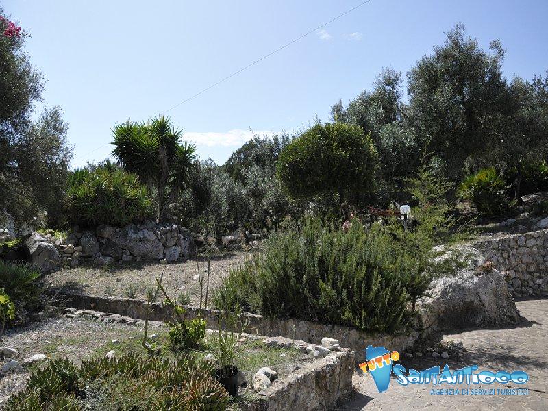 Sant'Antioco - Loc. Co'e Quaddus - C275